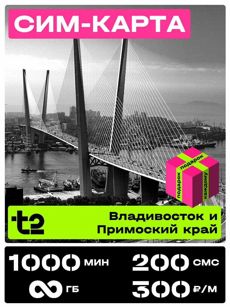 Сим карта теле 2 с безлимитным интернетом. t2 SIM-карта тариф Партнер М Приморский край. 1000 минут за 300 рублей в месяц.