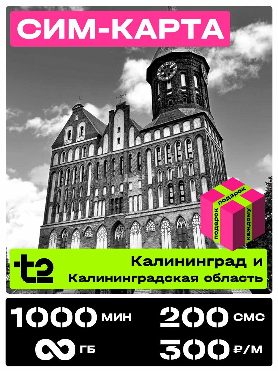 Сим карта теле 2 с безлимитным интернетом. t2 SIM-карта тариф Партнер М Калининградская область. 1000 минут за 300 рублей в месяц.