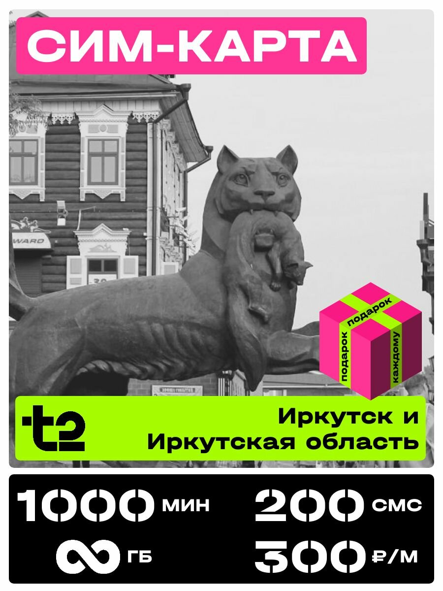 Сим карта теле 2 с безлимитным интернетом. t2 SIM-карта тариф Партнер М Иркутская область. 1000 минут за 300 рублей в месяц.