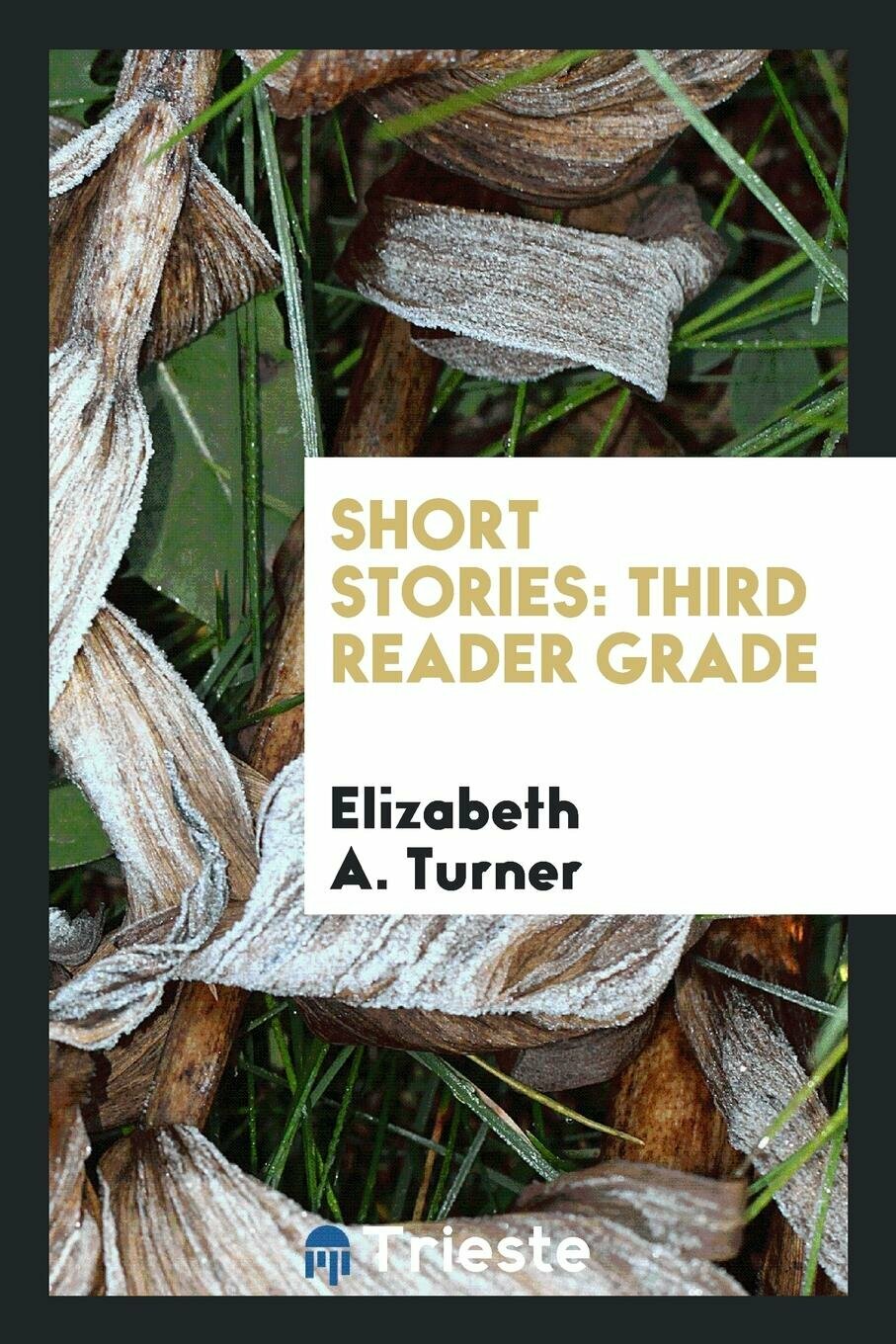 Short Stories. Third Reader Grade