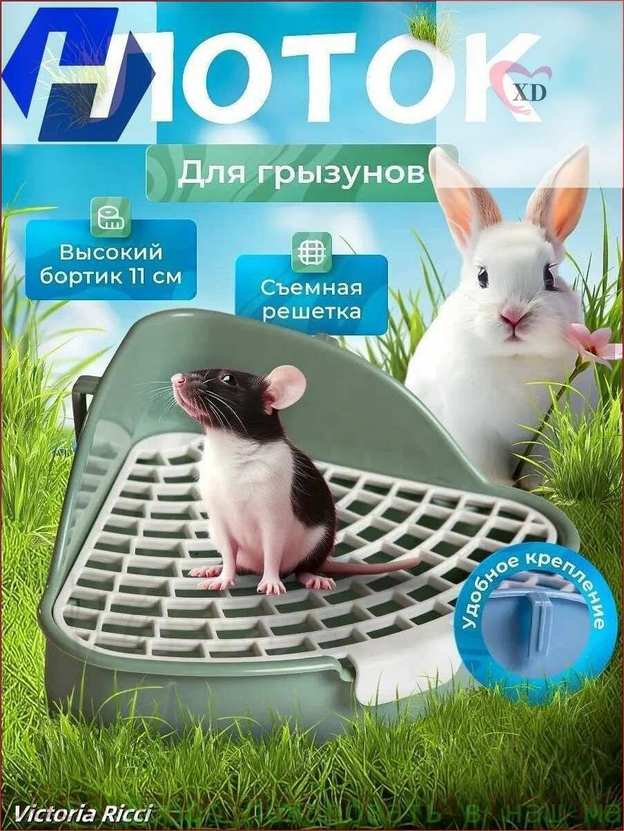 Лоток для грызунов и туалет кроликов