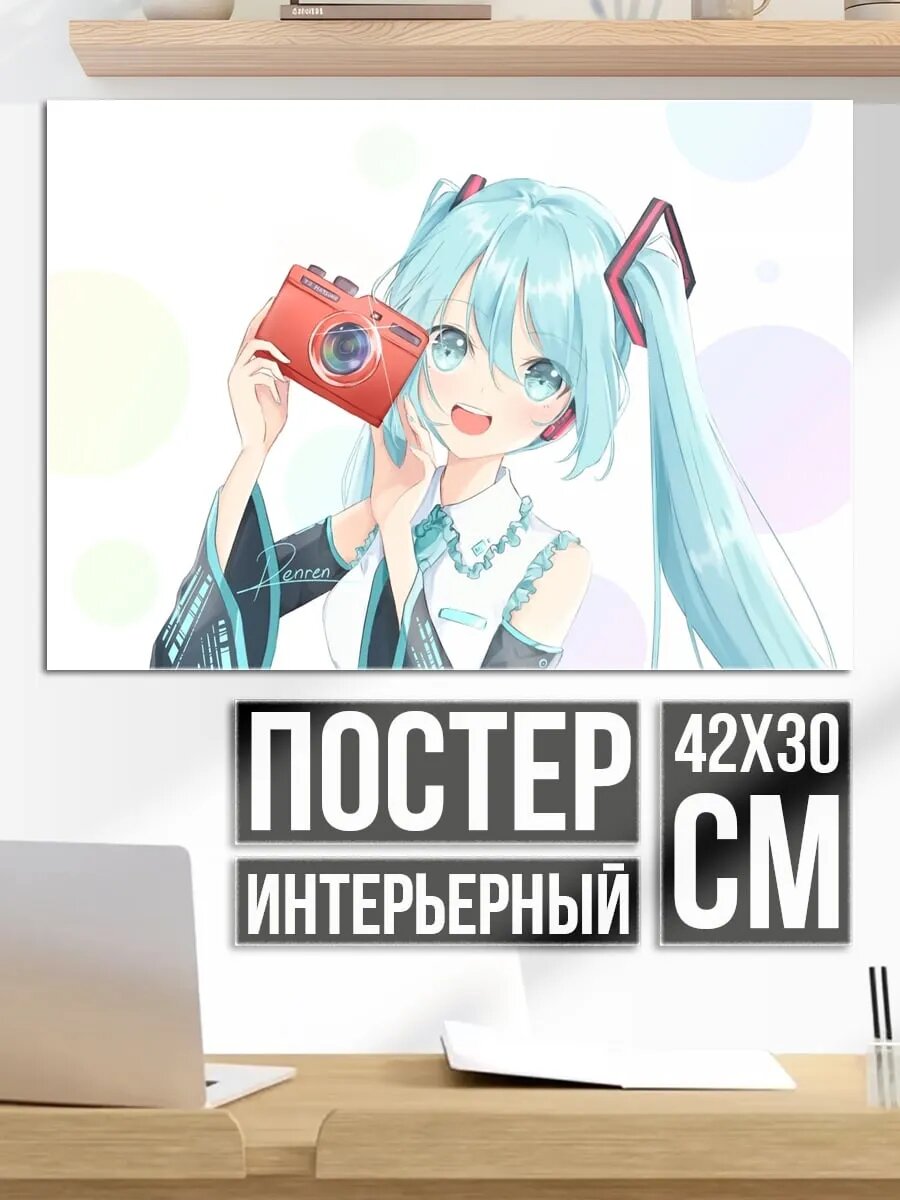 Плакат постер Мику с камерой