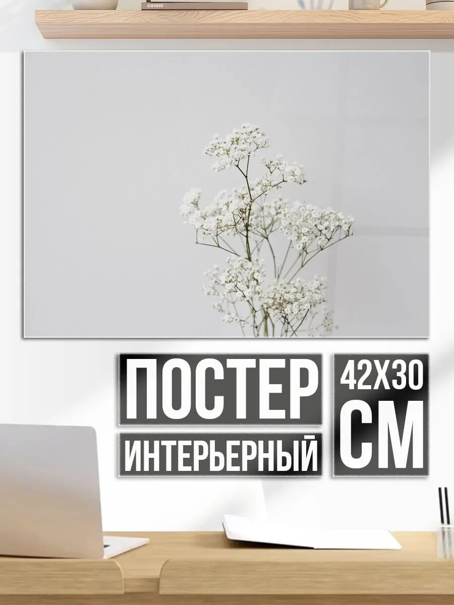 Плакат постер Белые цветы на сером