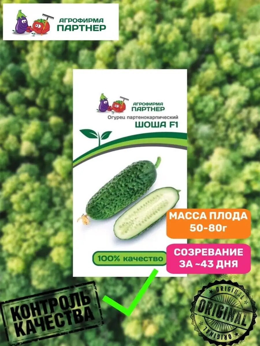 Огурец шоша F1, (5шт) 2-ной пак