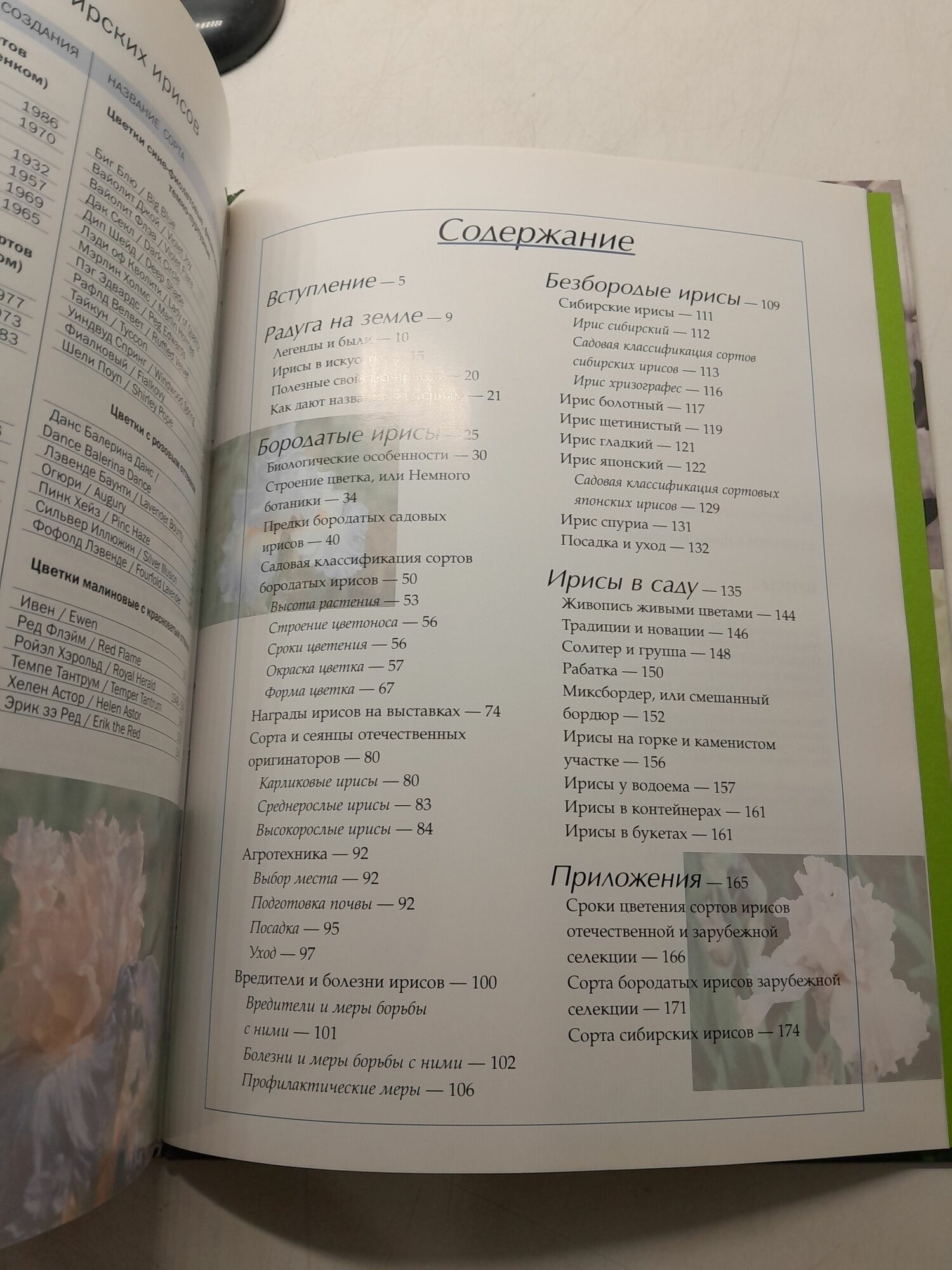 Ирисы / И. Ф. Степанова — фото 1
