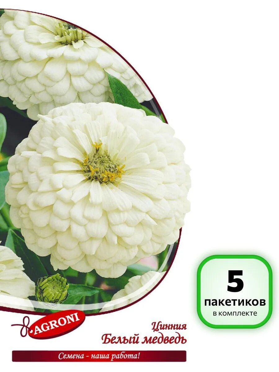(5 шт.) - Семена Цинния георгиноцветная Белый медведь 0.3 г