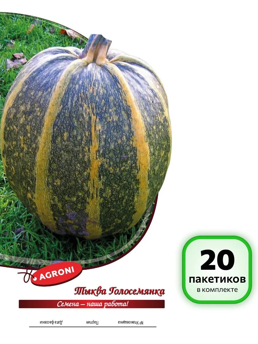 (20 шт.) - Семена Тыква Голосемянная (2,0г)