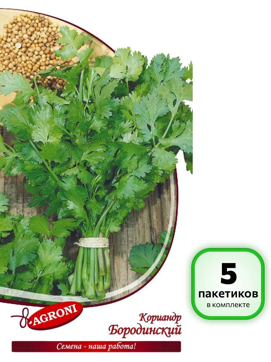 (5 шт.) - Семена Кориандр Бородинский (4,0г)