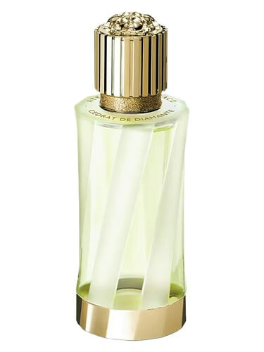 VERSACE ATELIER CEDRAT DE DIAMANTE 100мл парфюмированая вода (Унисекс)