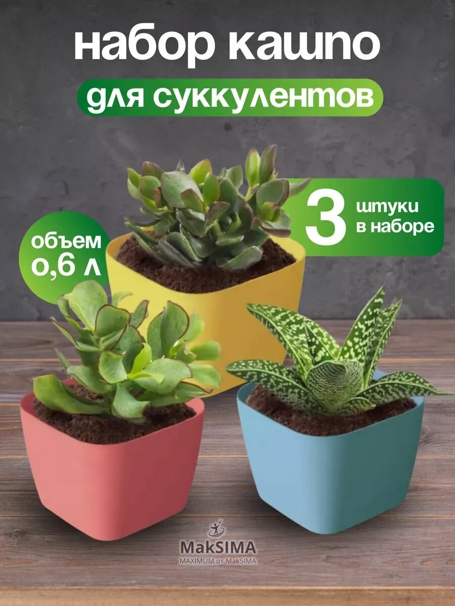 Кашпо маленький горшок для кактуса цветов и суккулентов 0,6л