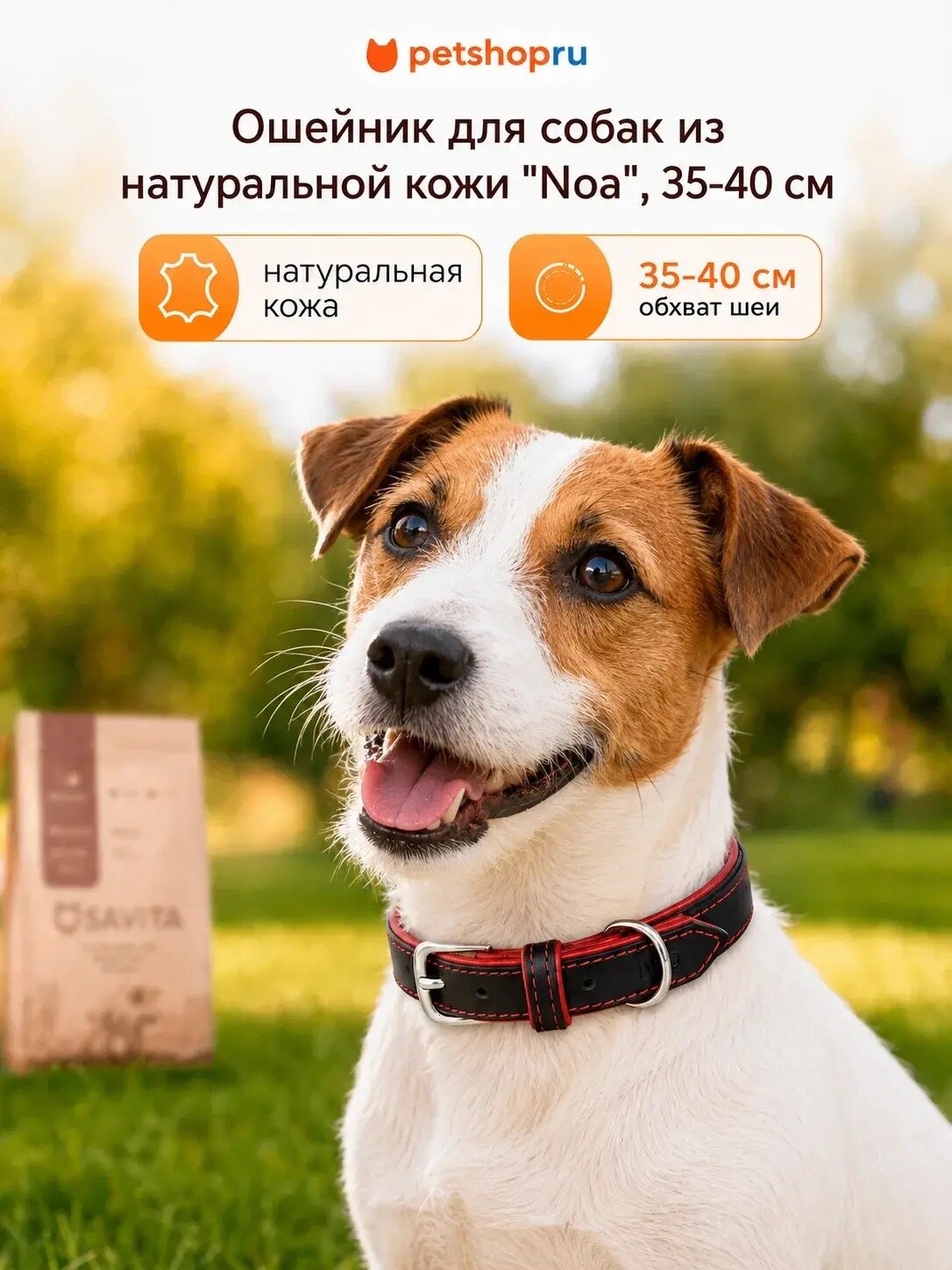 LeLap Ошейник для собак Noa из натуральной кожи, черный, размер S, 35-40см