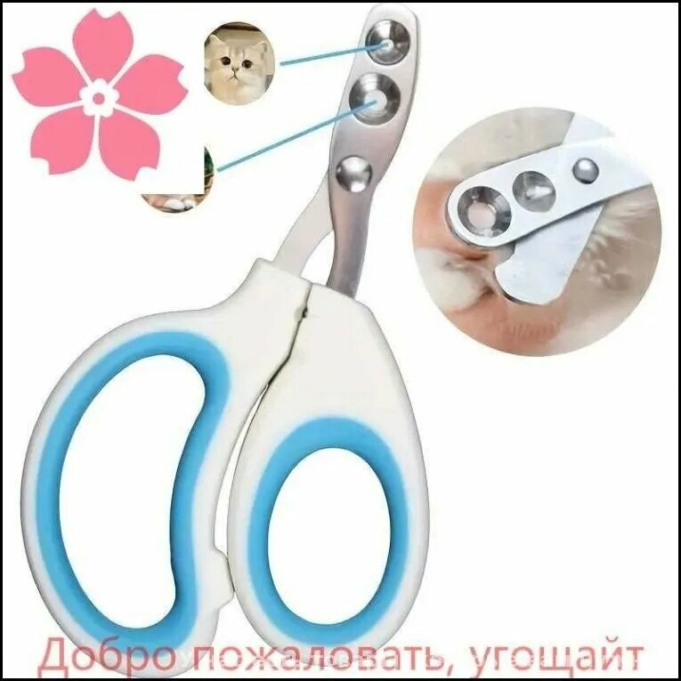 Когтерез