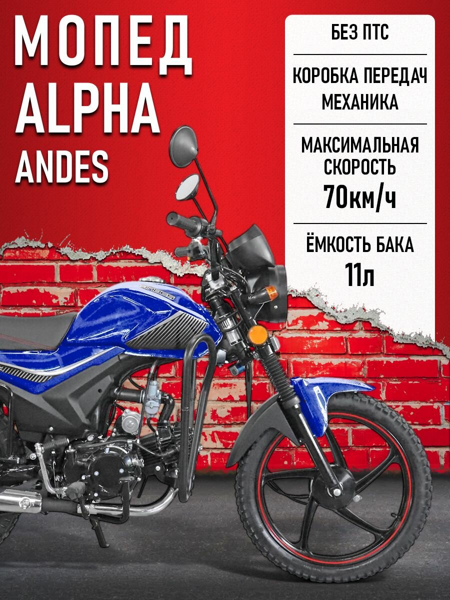 Мопед Alpha ANDES (Тюнинг) (защита ног, подставка для ног, багажник, литые диски)синий