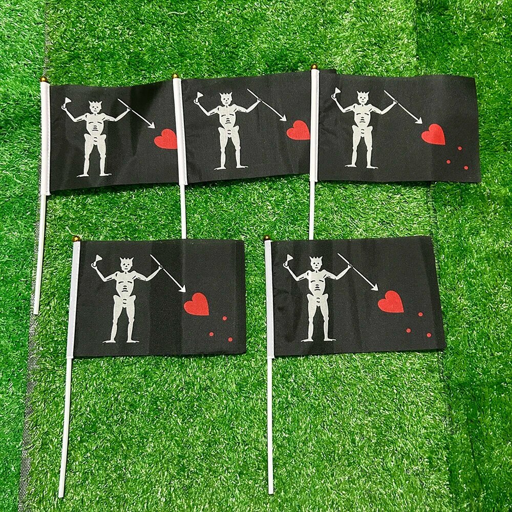 SKY FLAG Jolly Roger пиратский флаг 14x21 см 14x21cm 10pcs, 2