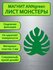 Магнит "Лист Монстеры"