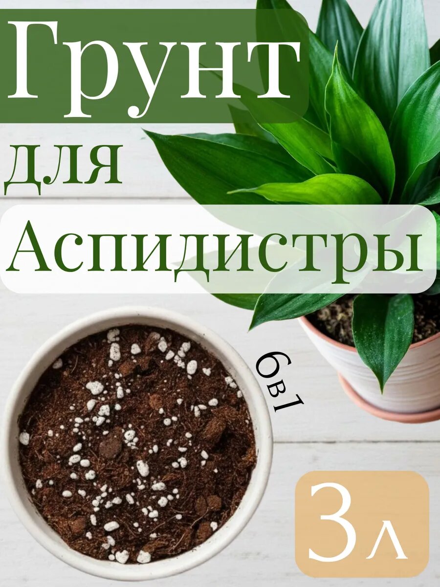 Готовый грунт для Аспидистры 3 литра