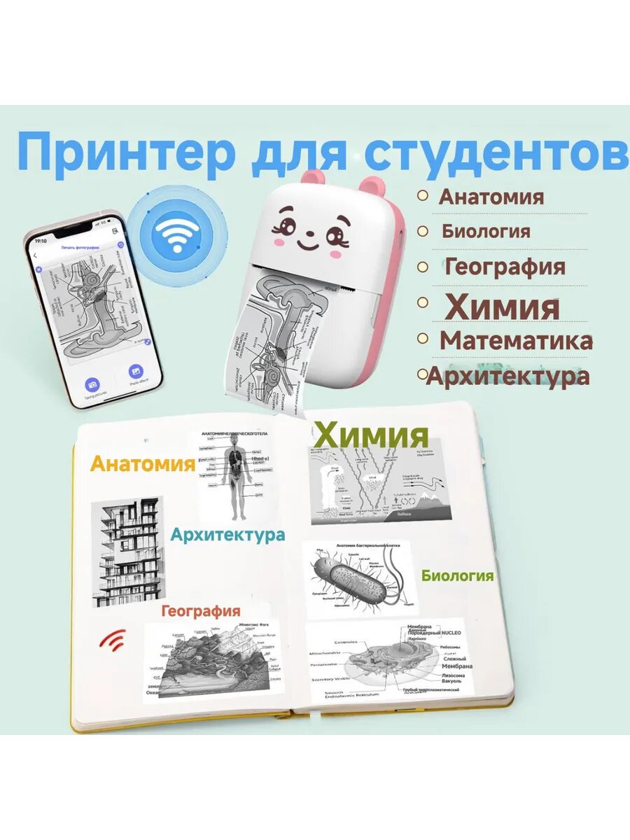 Мини-принтер термо, Монохромный