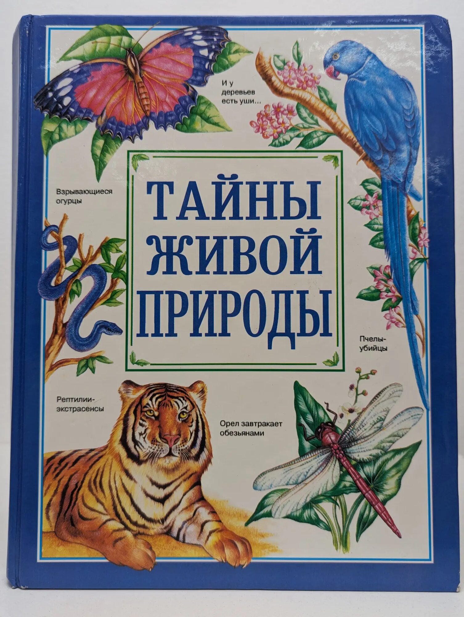 Тайны живой природы. Часть 1. Жизнь океана Моррис Рик 1998