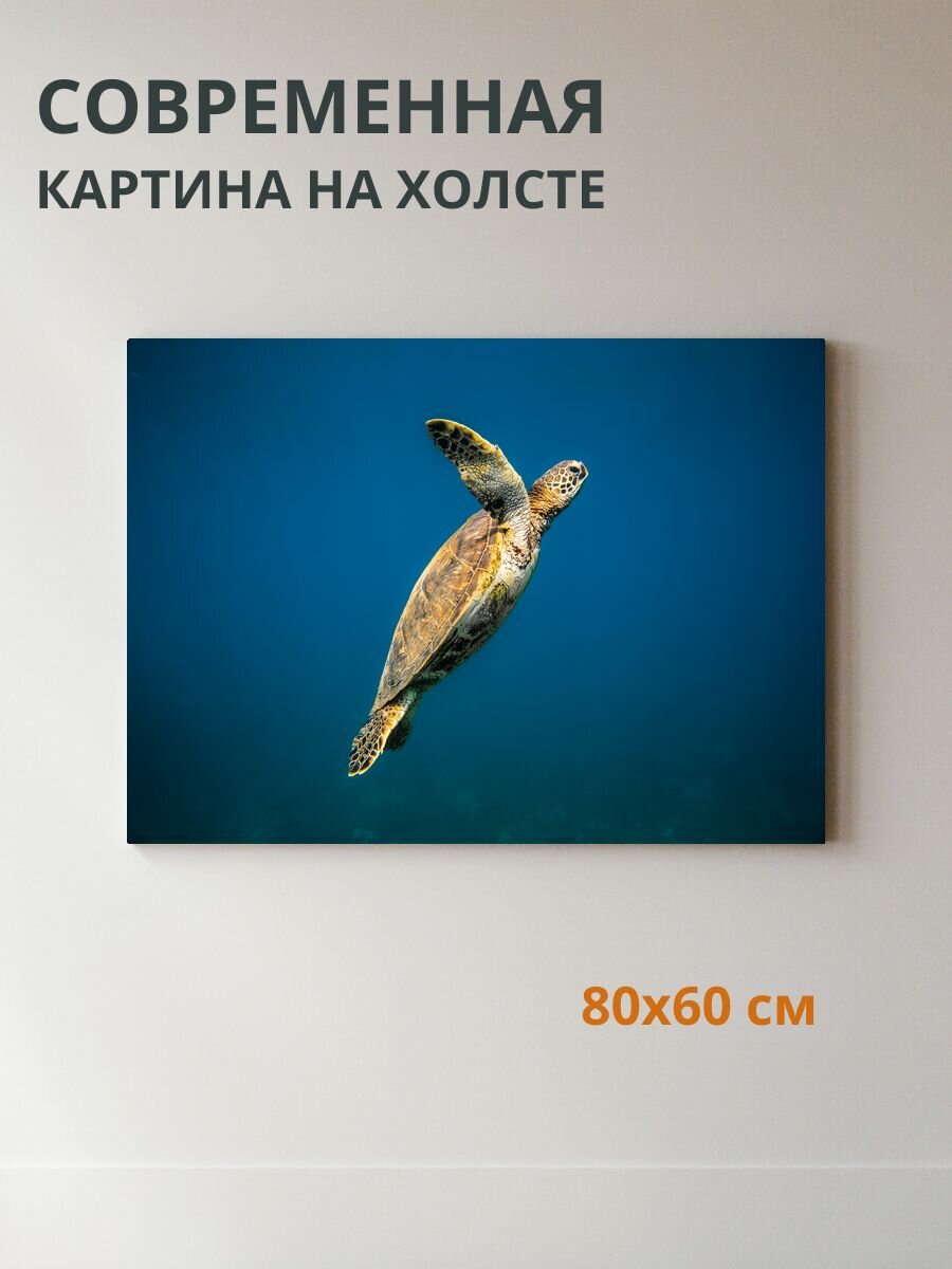 Картина на холсте Морская черепаха 80x60 см