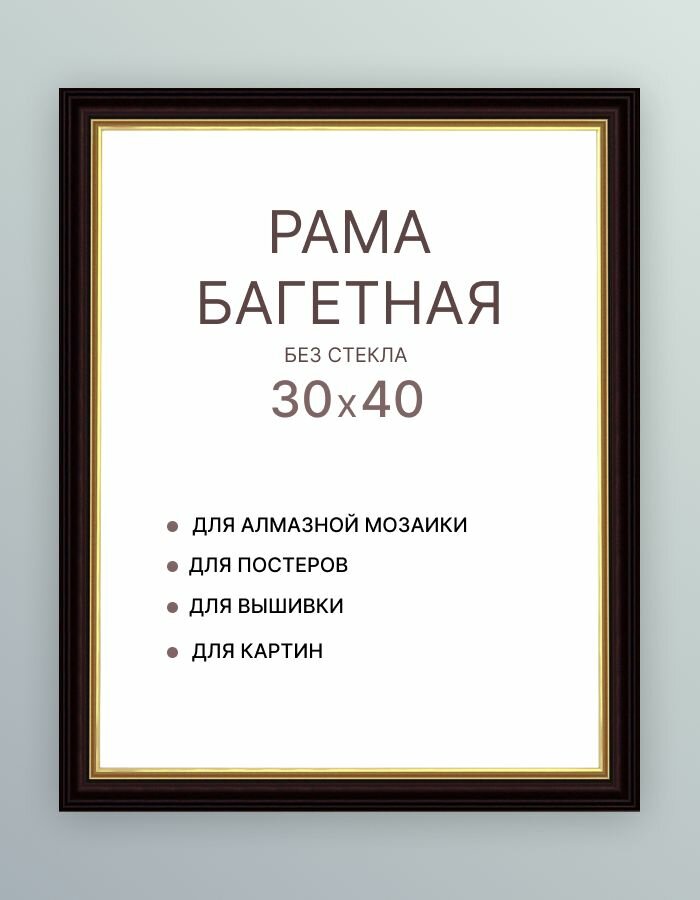 Багетная рама 30х40 для картин багет рамка 30 на 40 для алмазной мозаики картины по номерам подрамнике холсте вышивки
