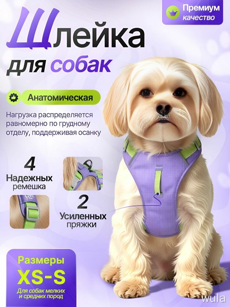 Шлейка wula фиолетовая для собак мелких пород XS-S с 4 ремешками и 2 пряжками