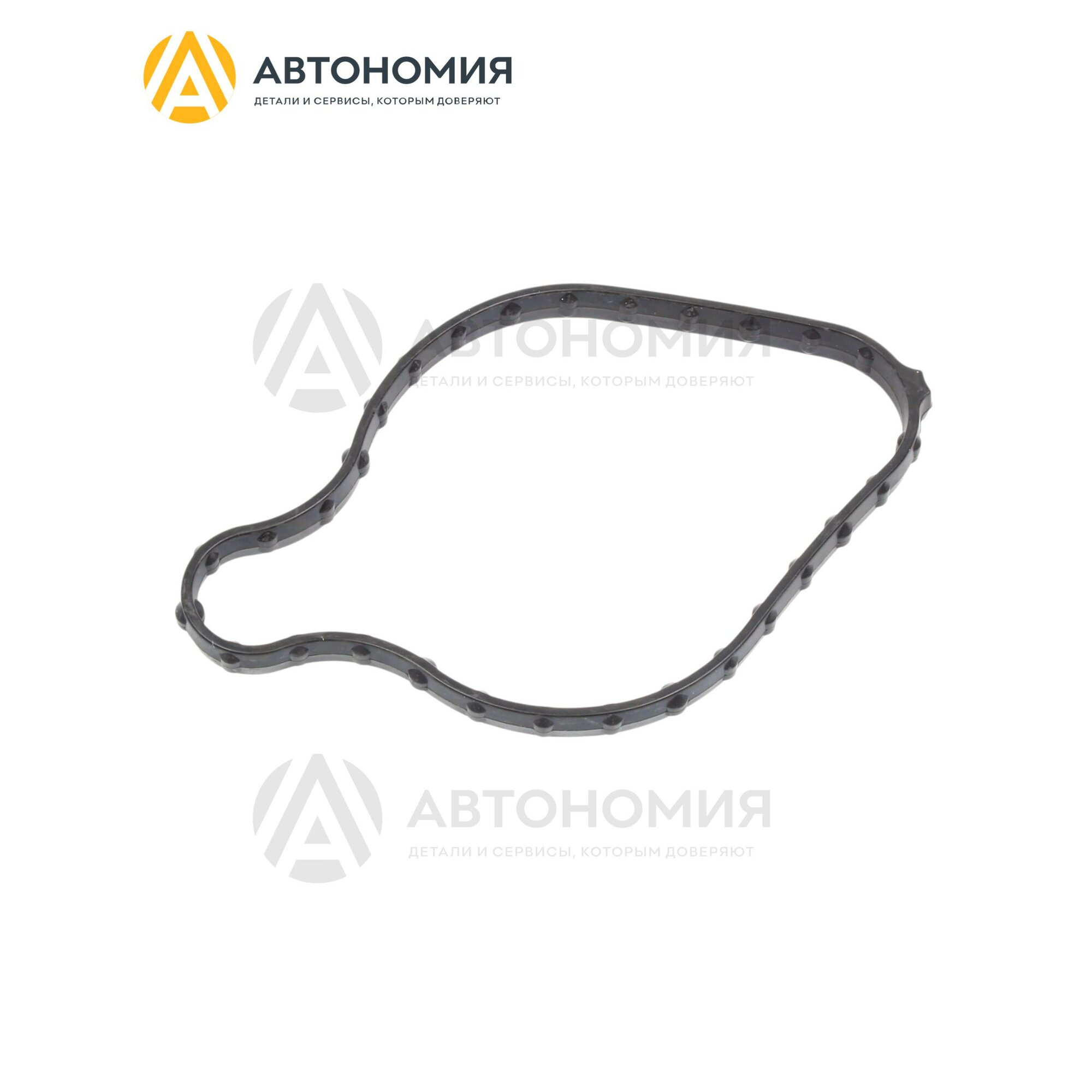 Прокладка тнвд 2.0 Duratec TIV Ford 5112340