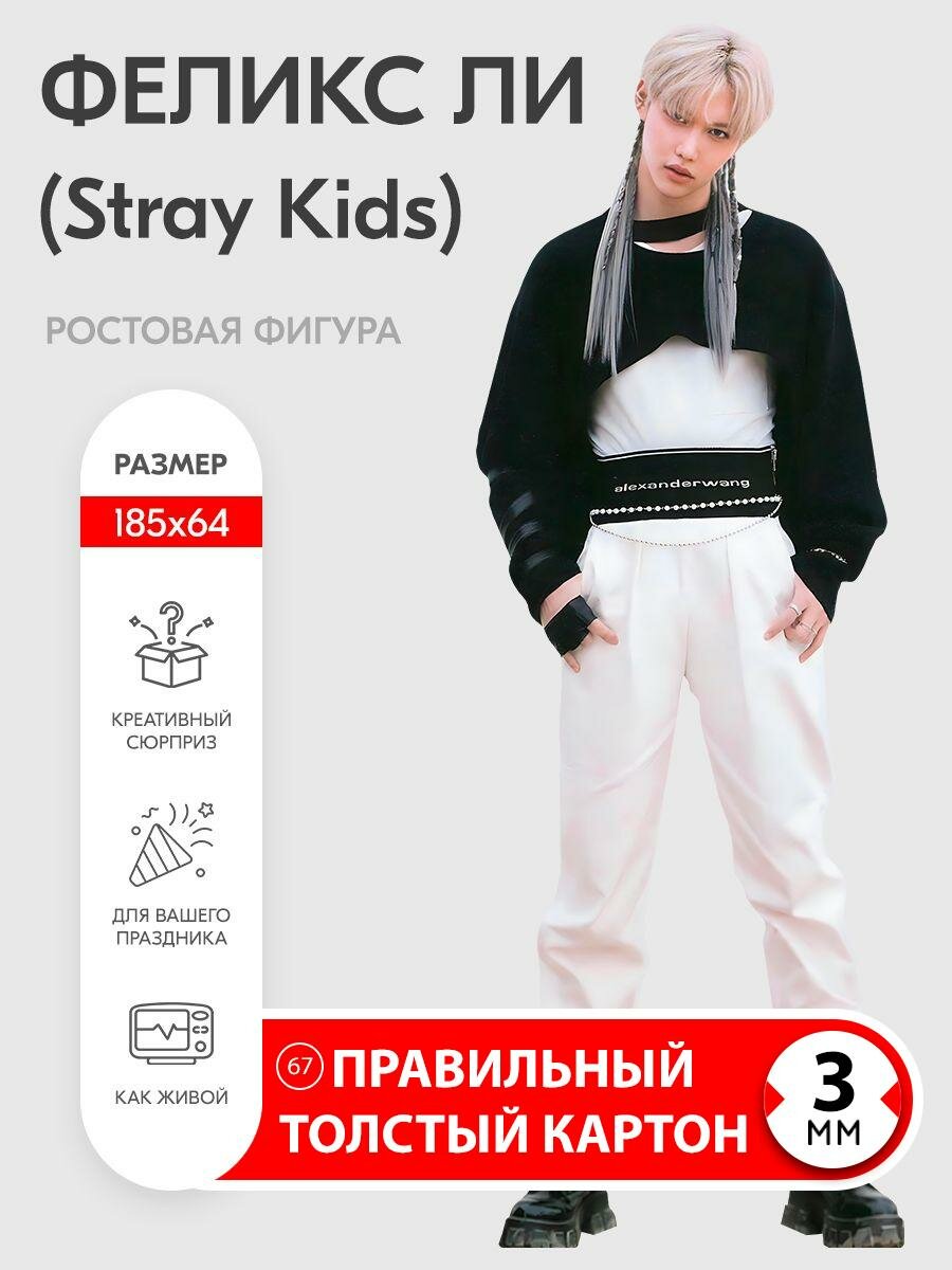Аксессуар для фотосессий, самое это, Феликс Ли (Stray Kids) 3, ростовая фигура