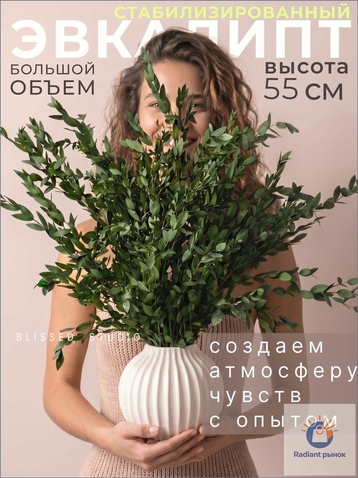 Blissed Сухоцветы Эвкалипт, 55 см, 150 гр