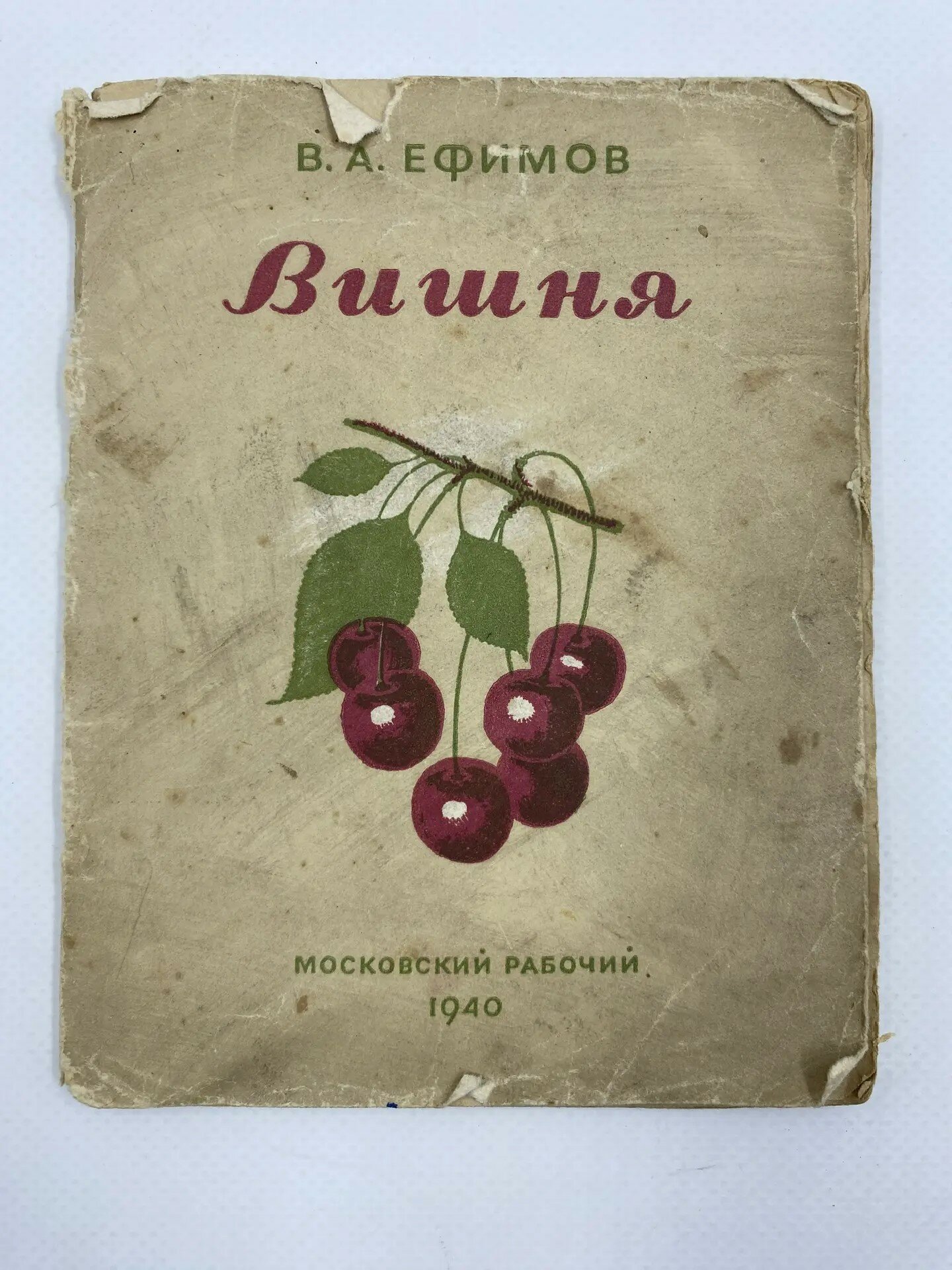 Вишня (1940 год)