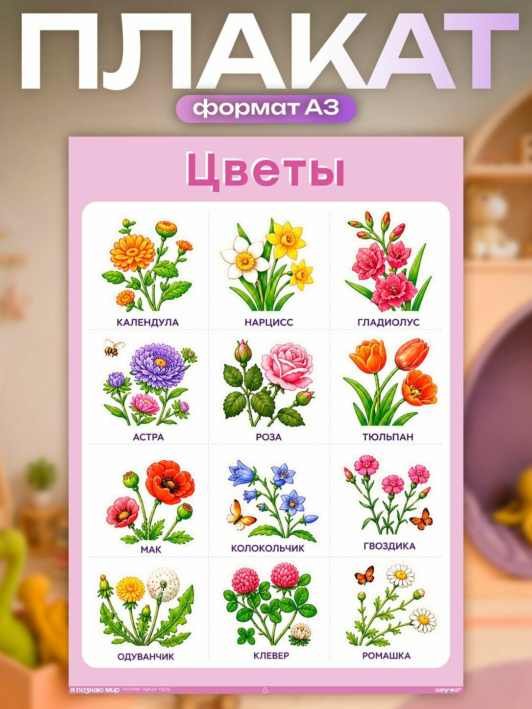 Постеры развивающие Цветы, плакаты на стену