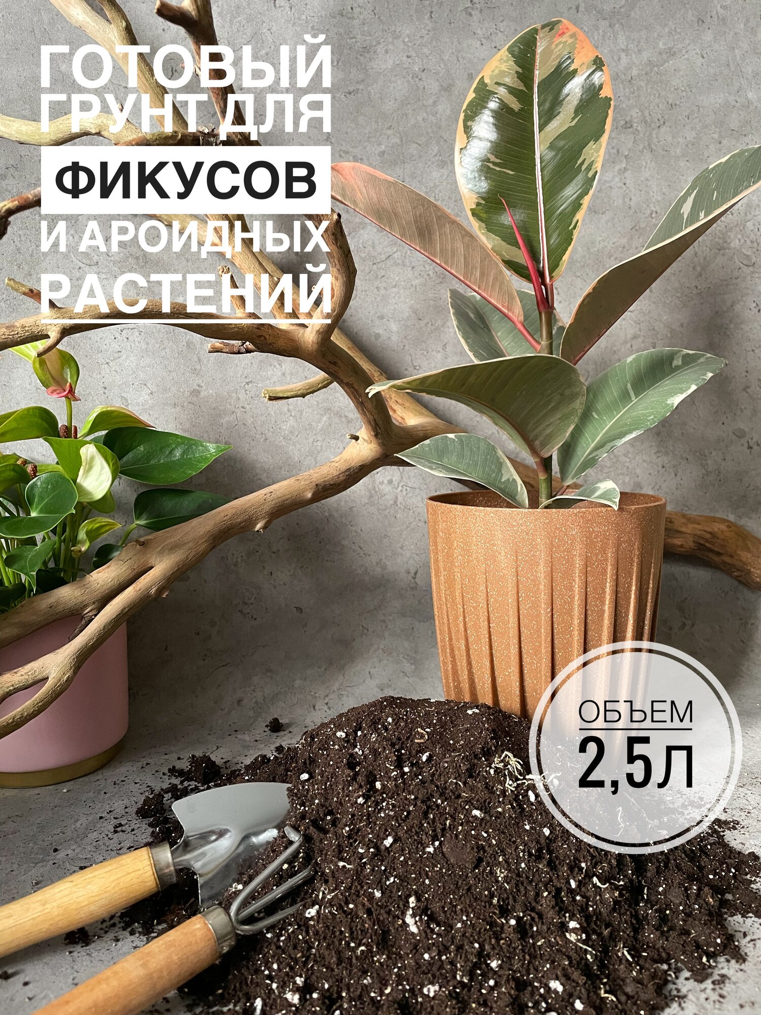 Премиум грунт для Фикусов и ароидных 2,5л с биогумусом Terracotta Plants