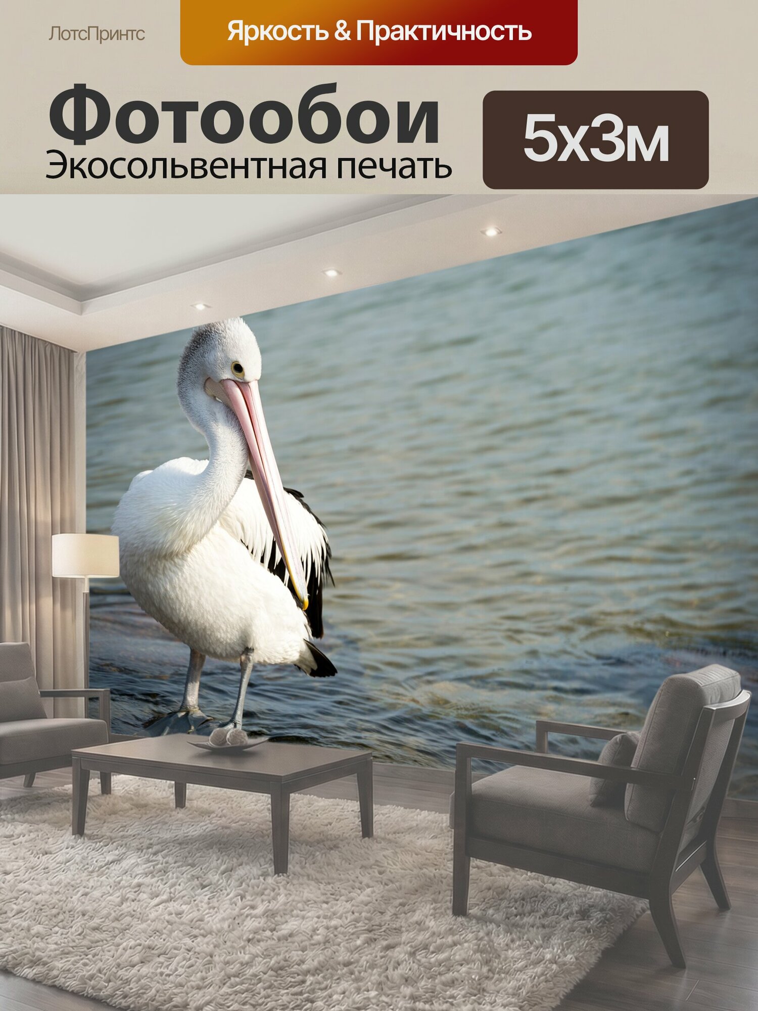 Фотообои "Пеликан, птица, природа" 500x300 см. экосольвентная печать