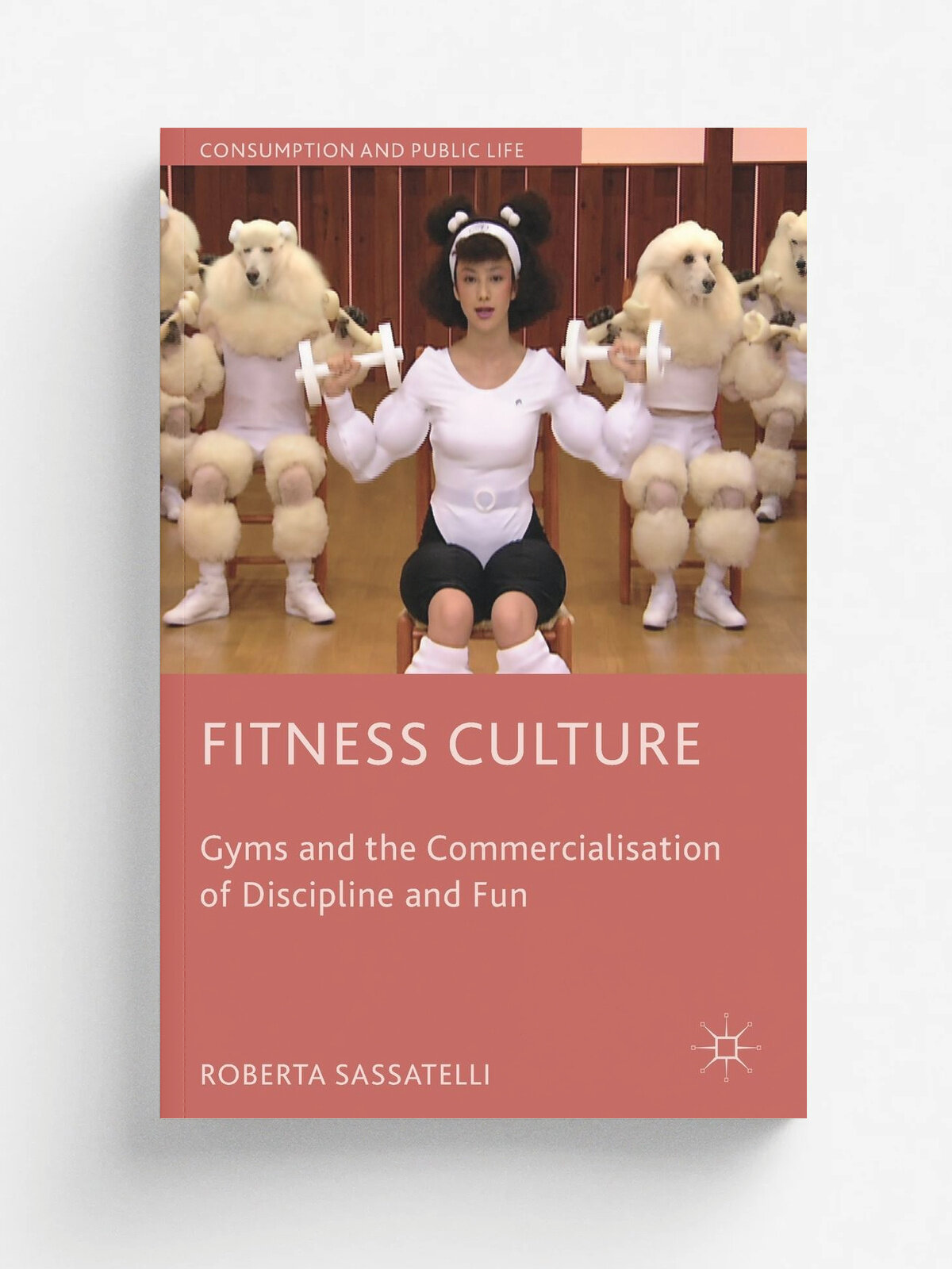 Fitness Culture. Gyms and the Commercialisation of Discipline and Fun