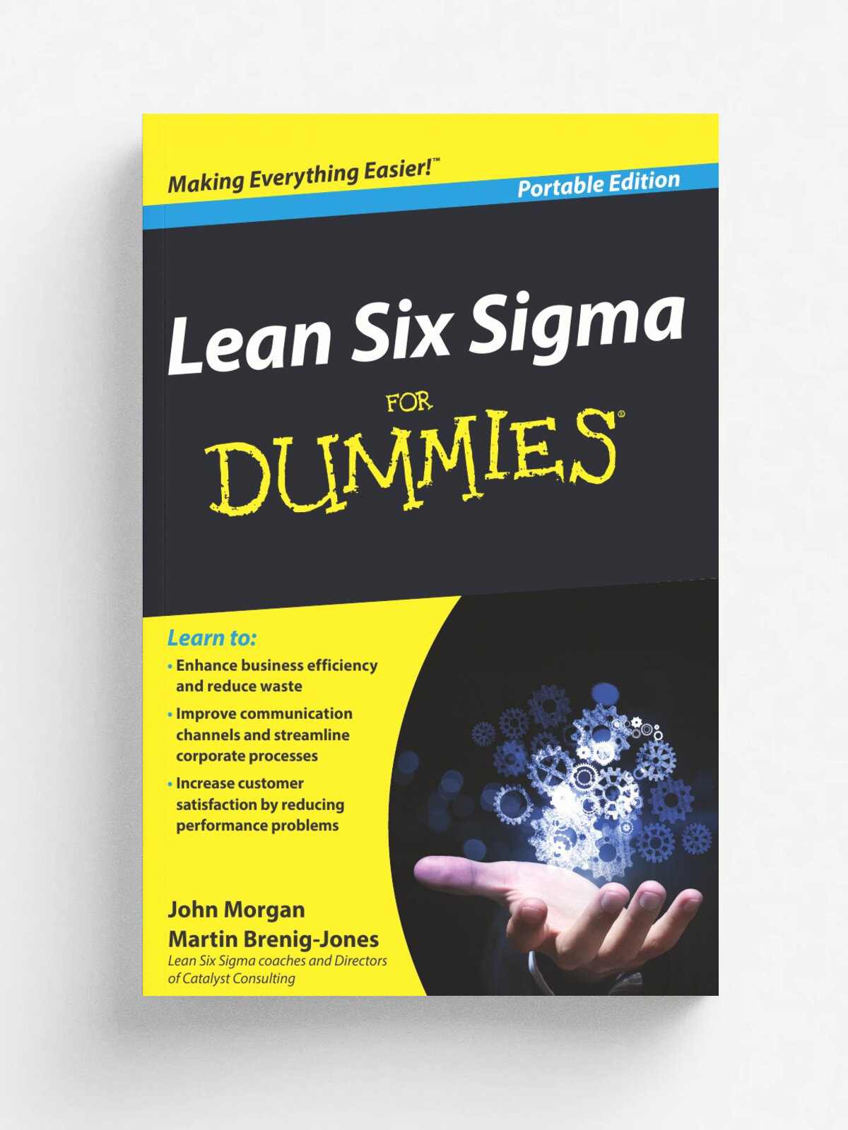 Lean Six Sigma For Dummies