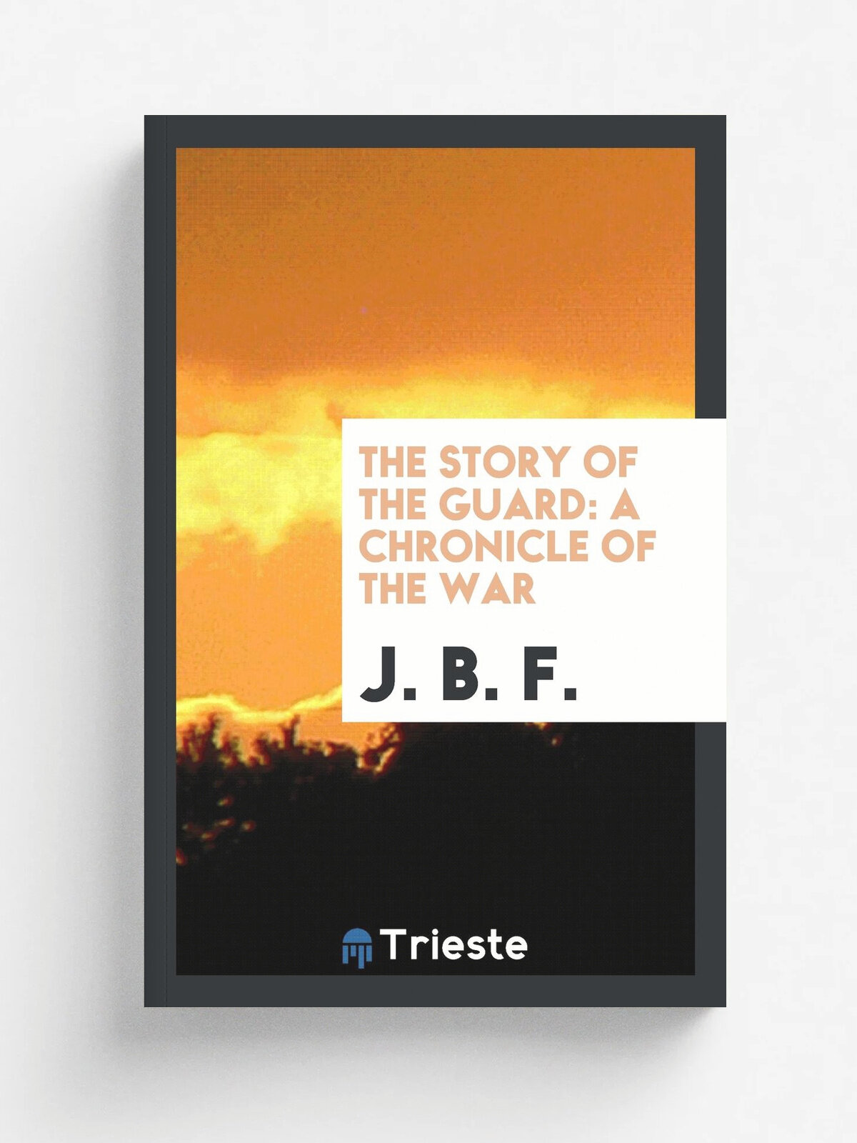 The story of the guard. a chronicle of the war