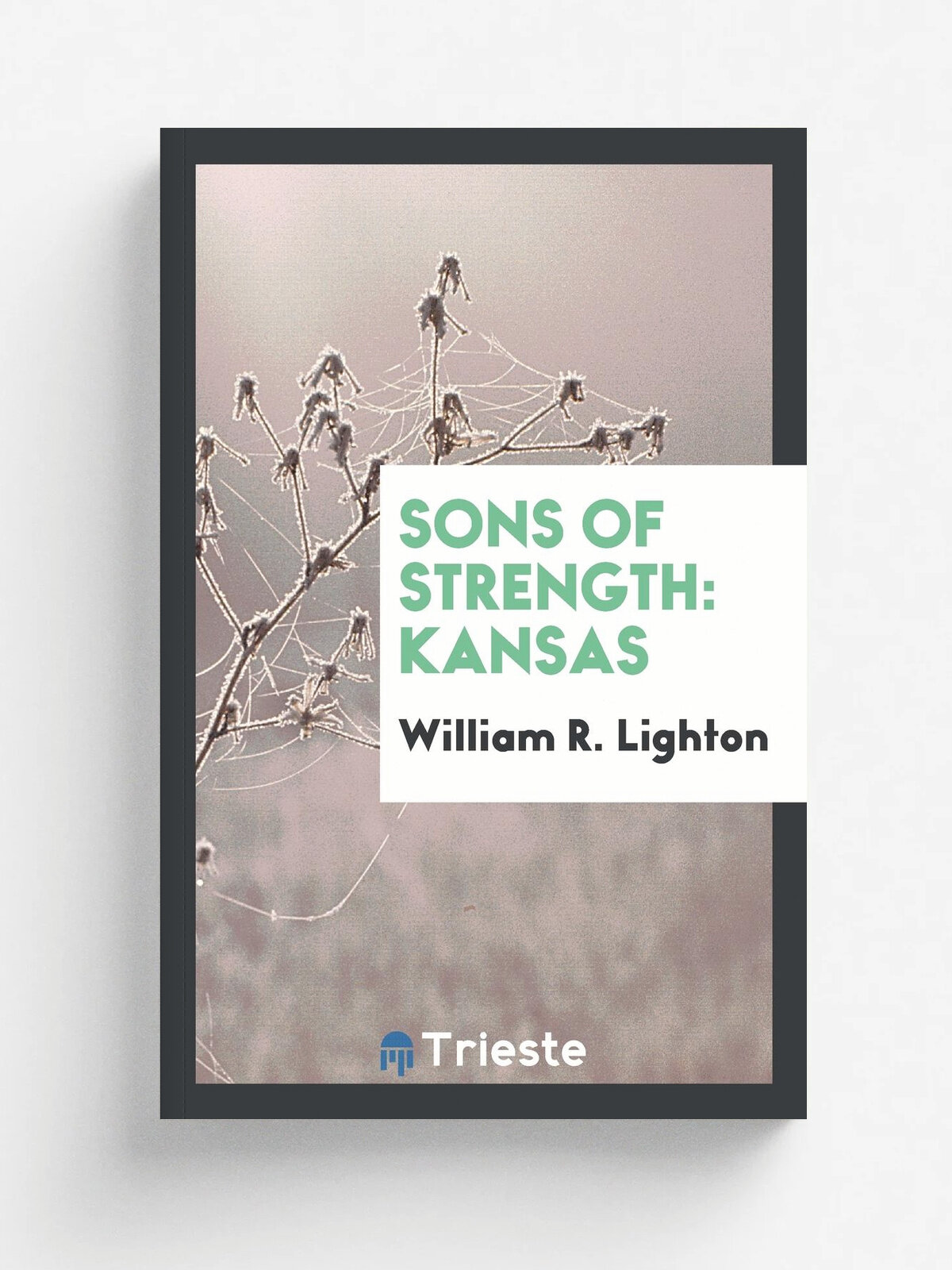 Sons of strength. Kansas
