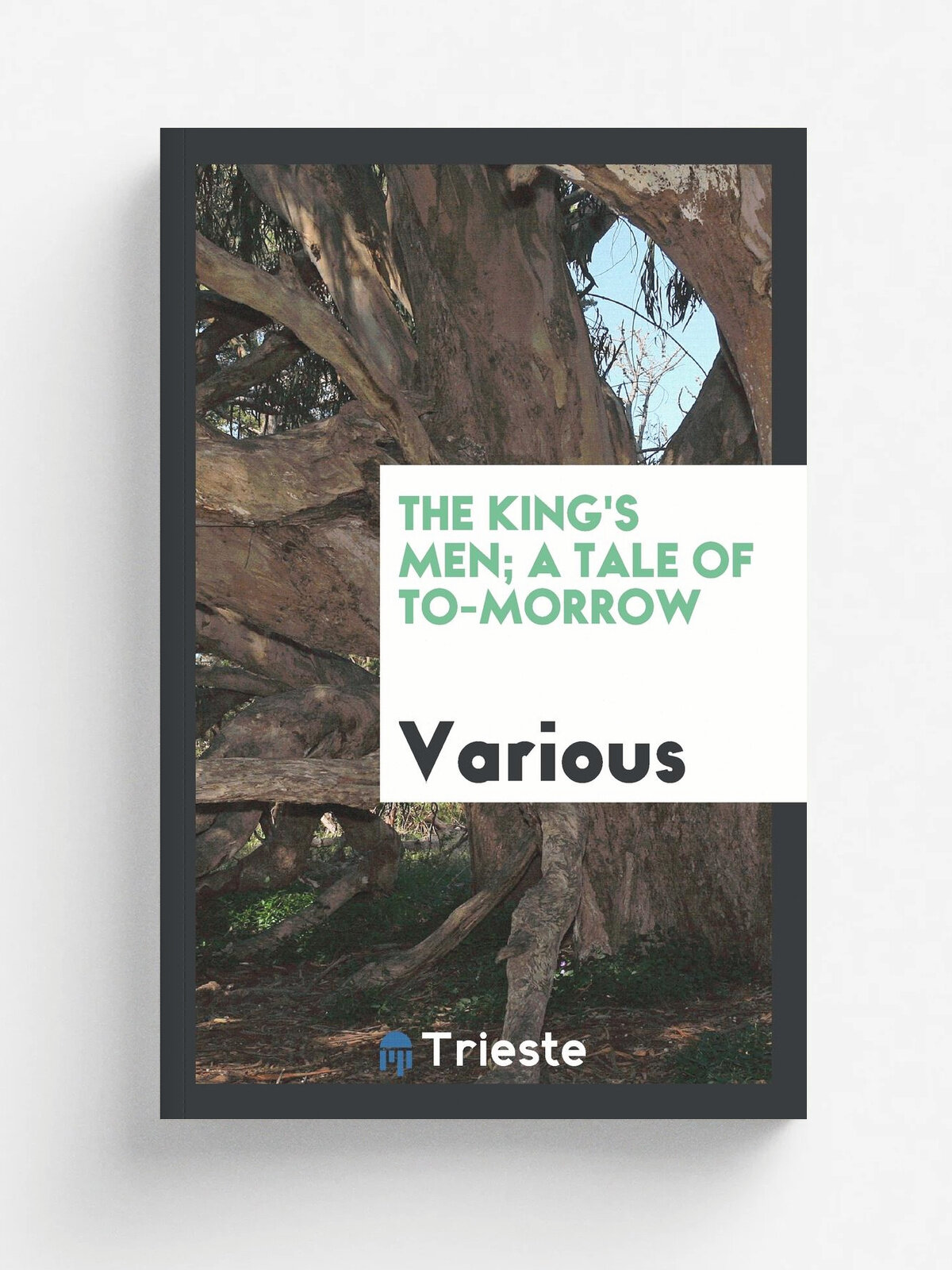 The king's men; a tale of to-morrow