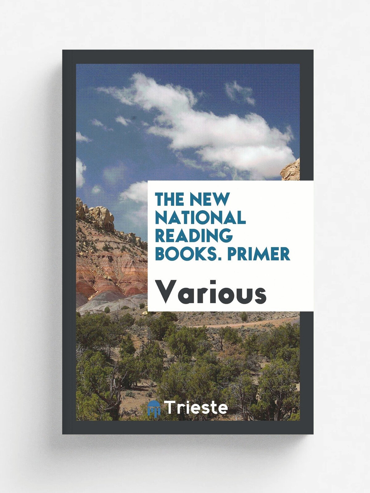 The new national reading books. Primer