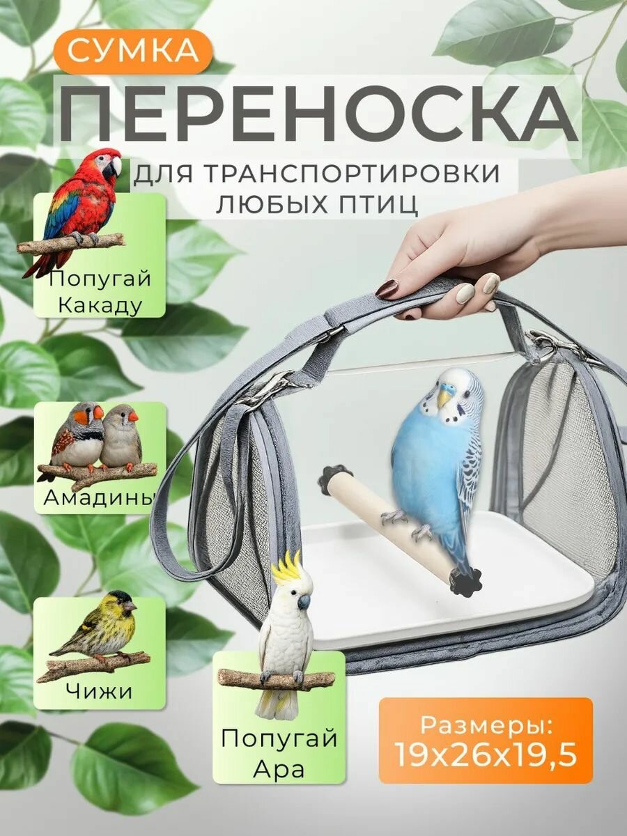 Рюкзак-переноска Прозрачный для птиц (попугаи, голуби) и ящериц с вентиляцией - Дышащая сумка для перевозки мелких животных к ветеринару, на прогулку