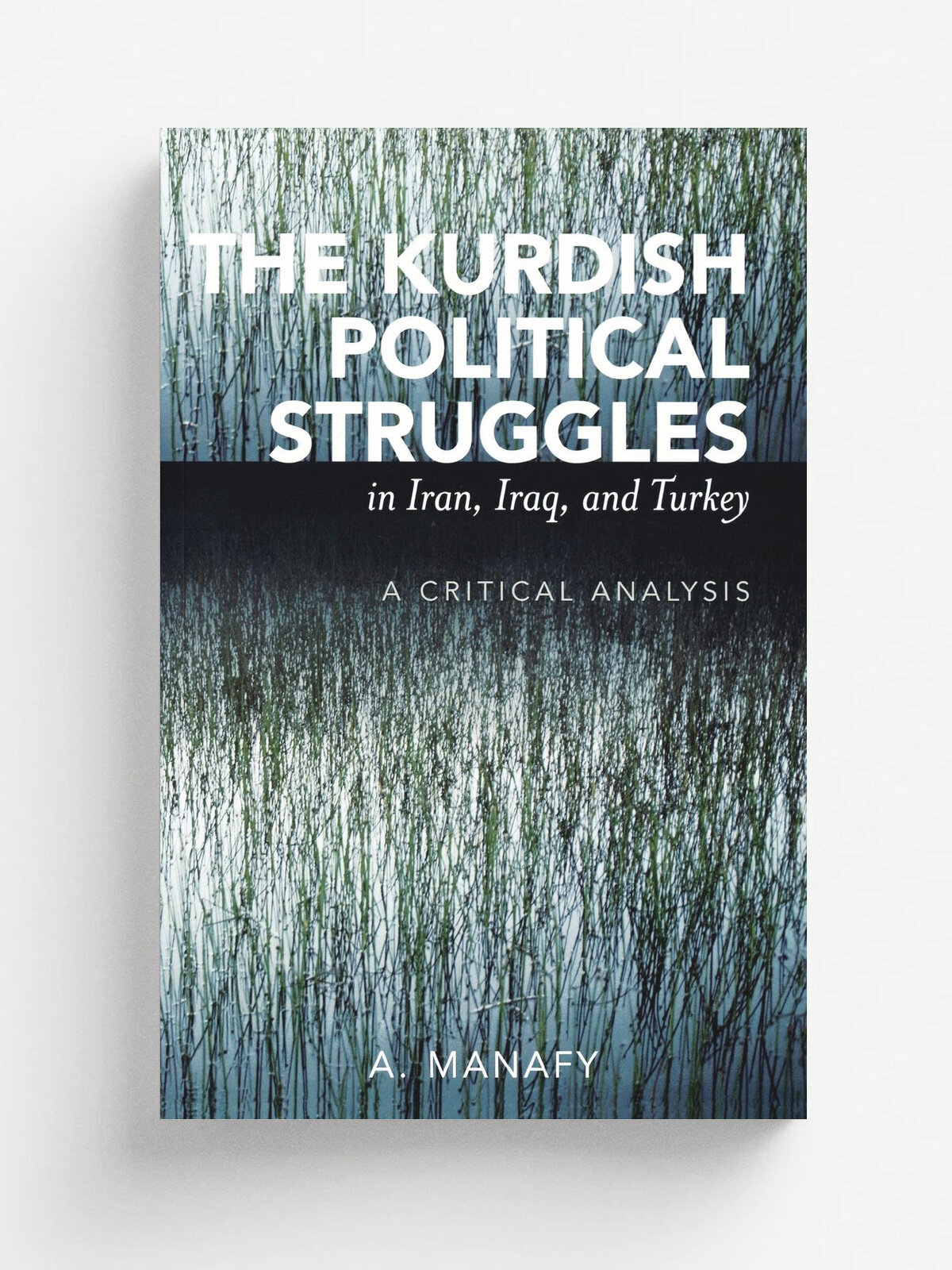 Kurdish Political Struggles in Iran, Iraq, and Turkey. A Critical Analysis