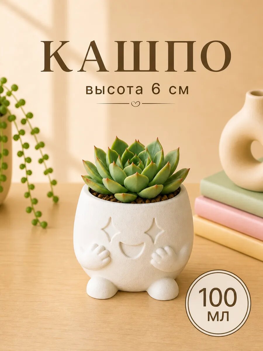 Милое кашпо горшок для цветов кактусов и суккулентов