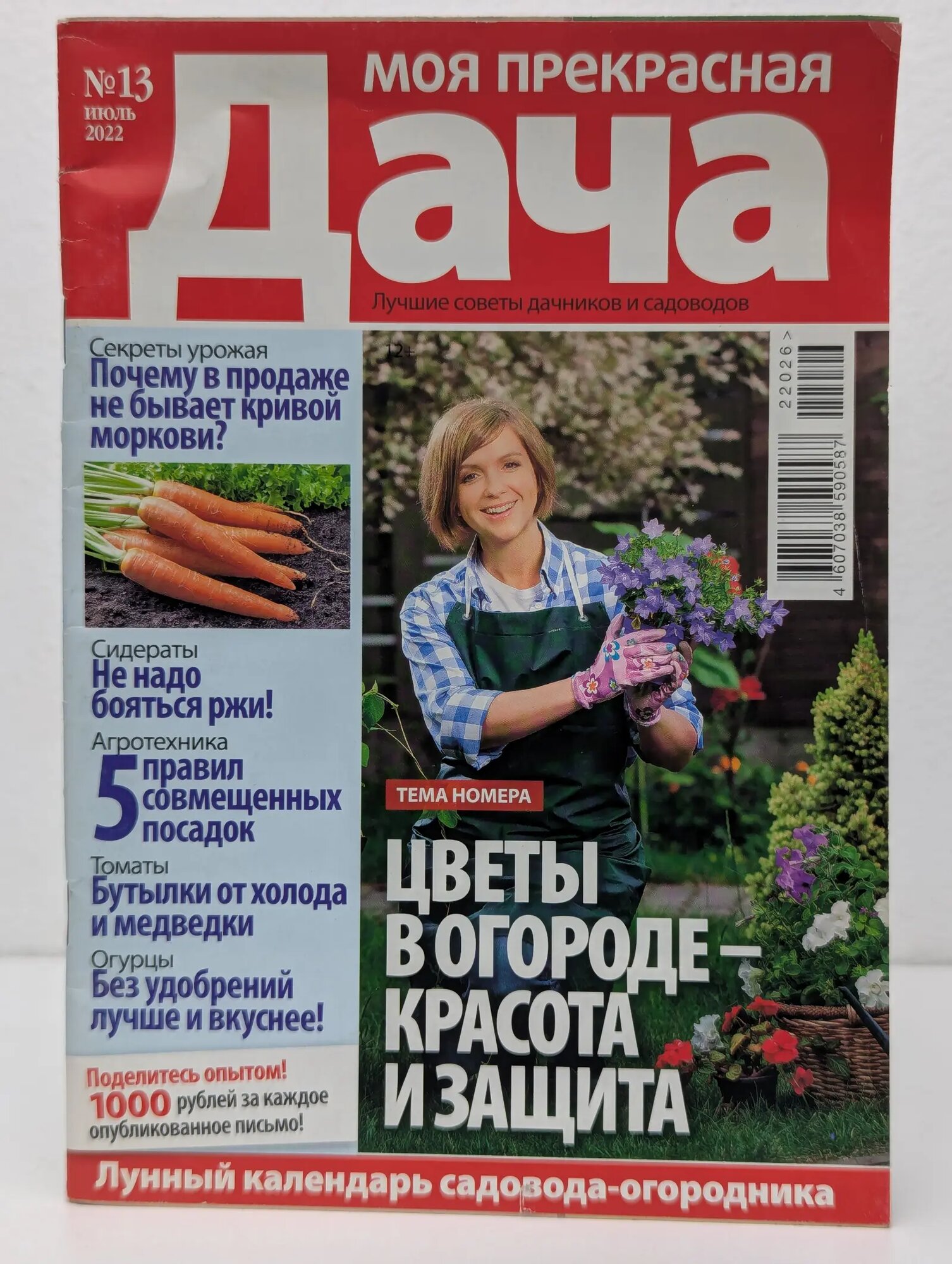 Моя прекрасная дача. Выпуск № 13/2022 Сборник 2022