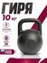 Гиря 10 кг
