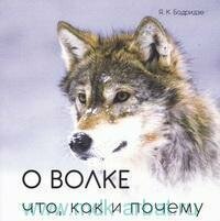 О волке : что, как и почему