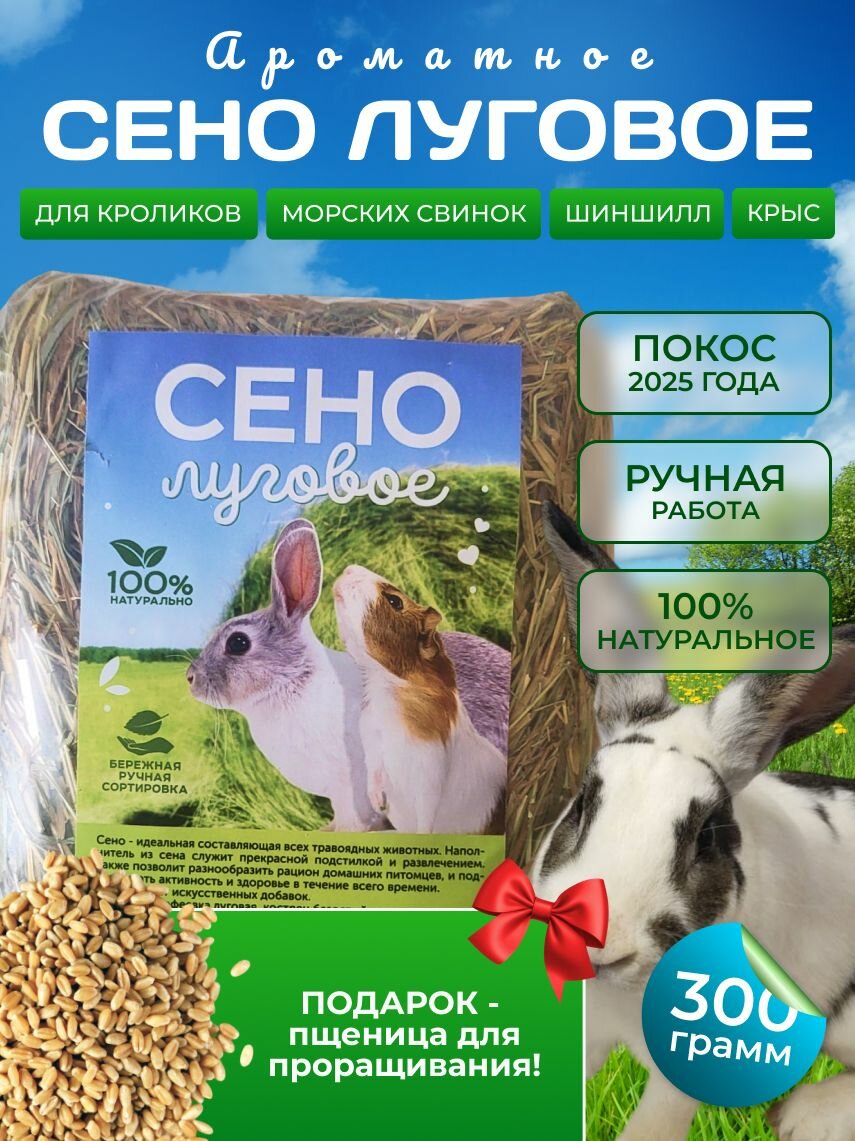 Сено луговое "Экологически чистые товары", для грызунов, 300 гр. сено для грызунов 300г луговое сено 300г