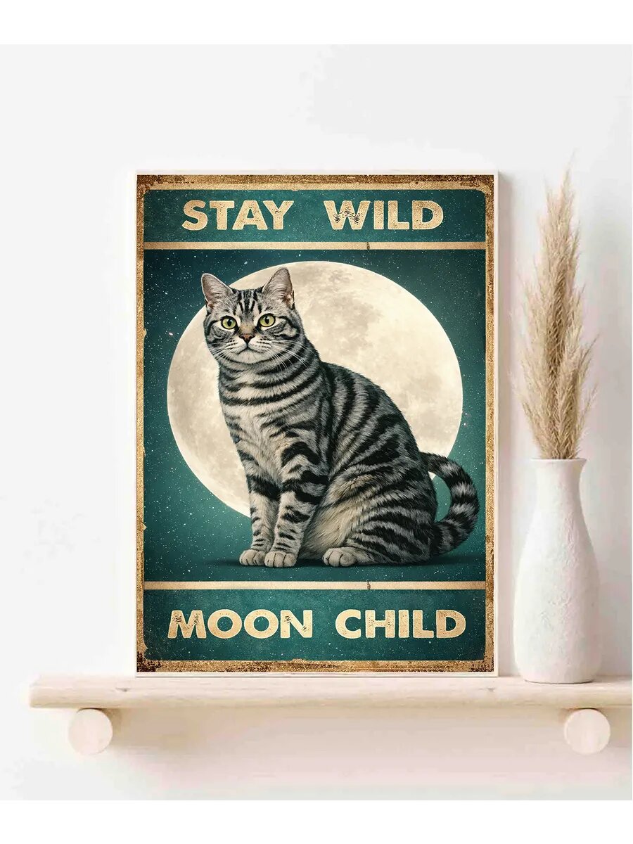 Американская жесткошёрстная кошка, Stay Wild Moon Child, Пл