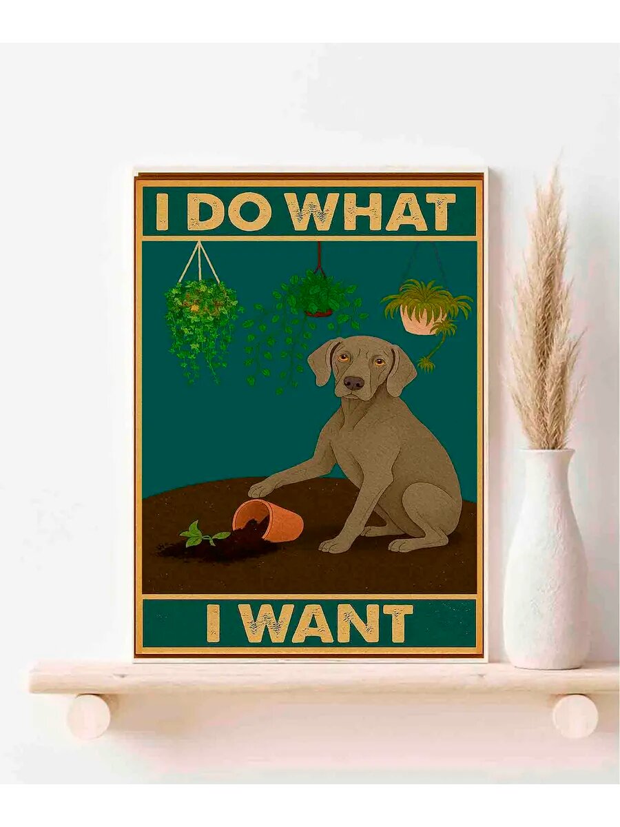 Собака породы веймаранер, I Do What I Want, Плакат 30x42см