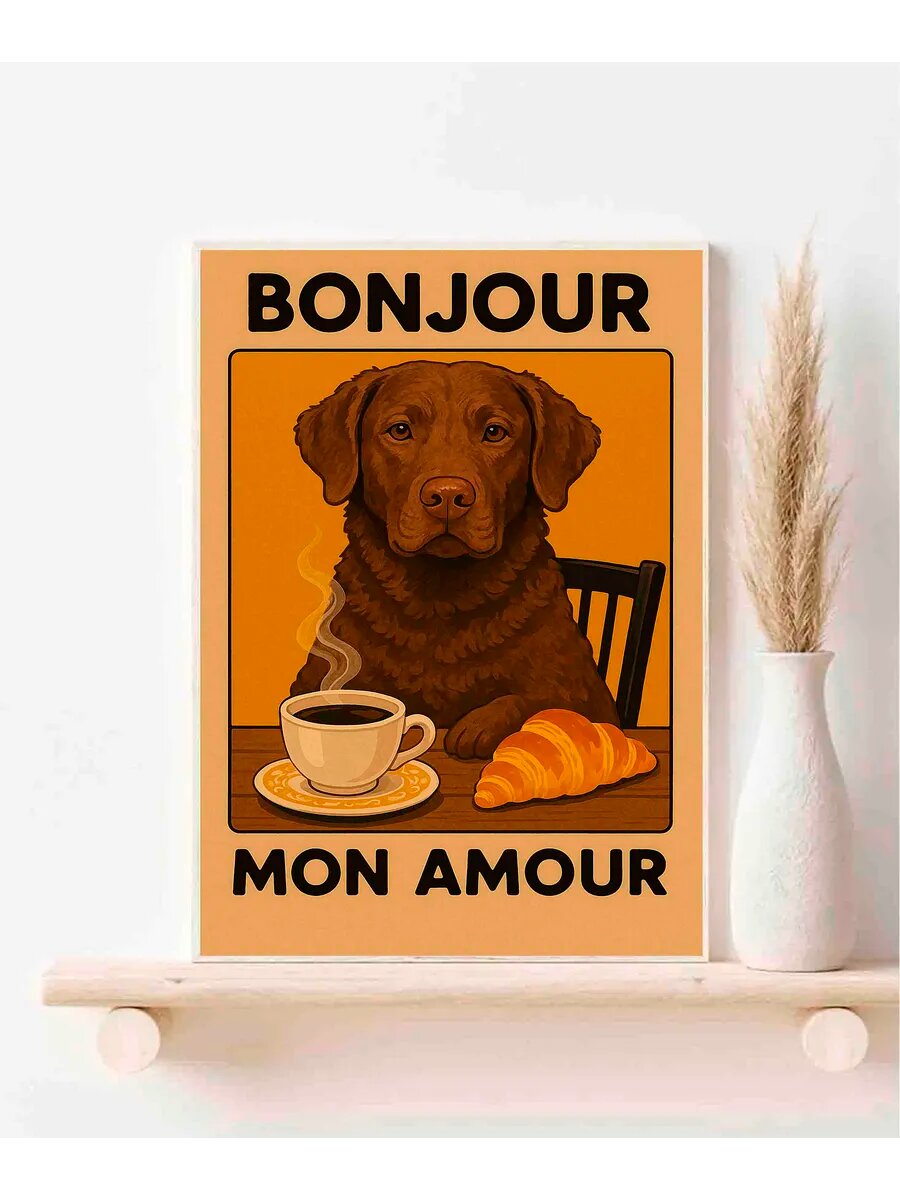 Собака породы ретривер Чесапикского залива, Bonjour Mon Amo