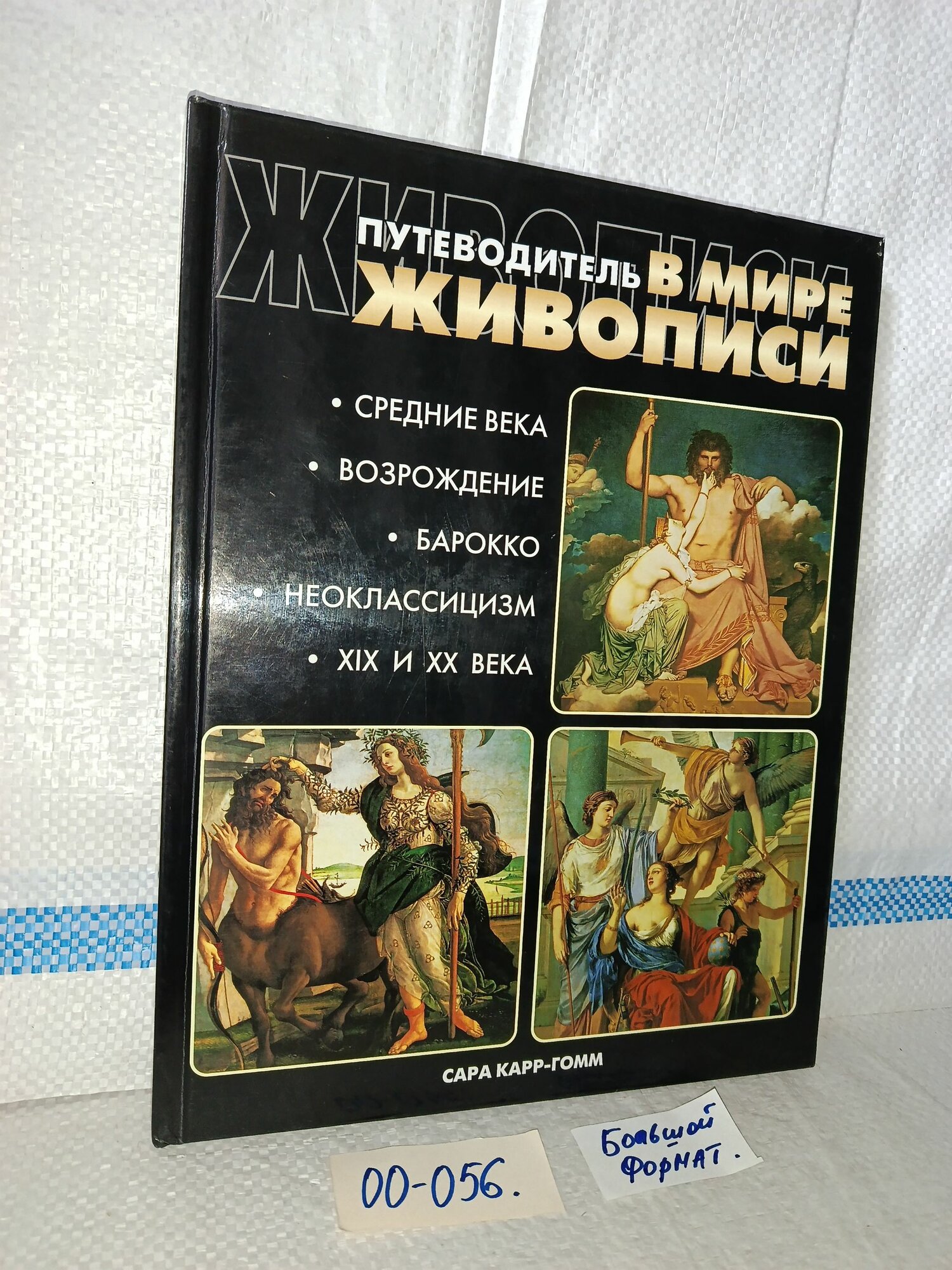Сара Карр-Гомм. Путеводитель в мире живописи.