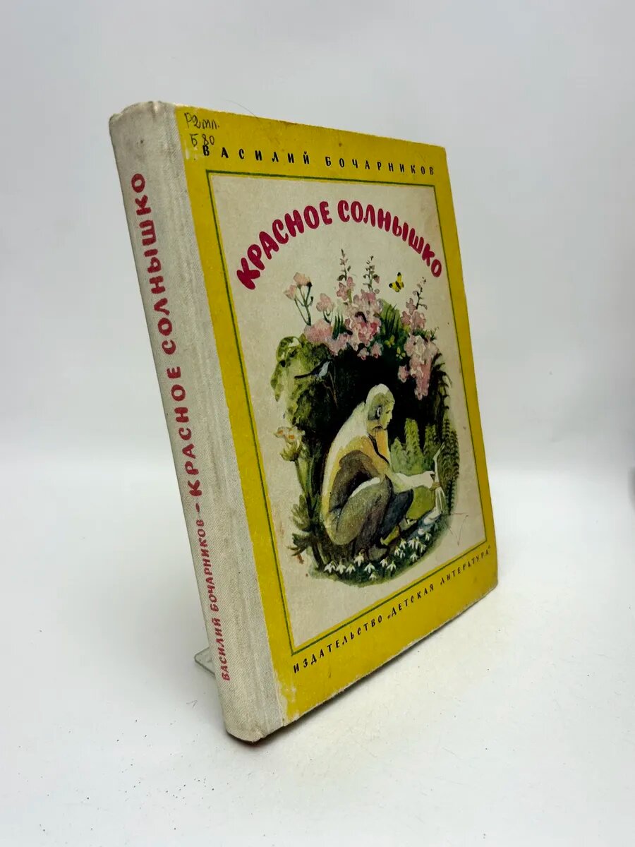 Василий Алексеевич Бочарников. Красное солнышко